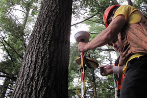 Forest Management Standard - forests.org